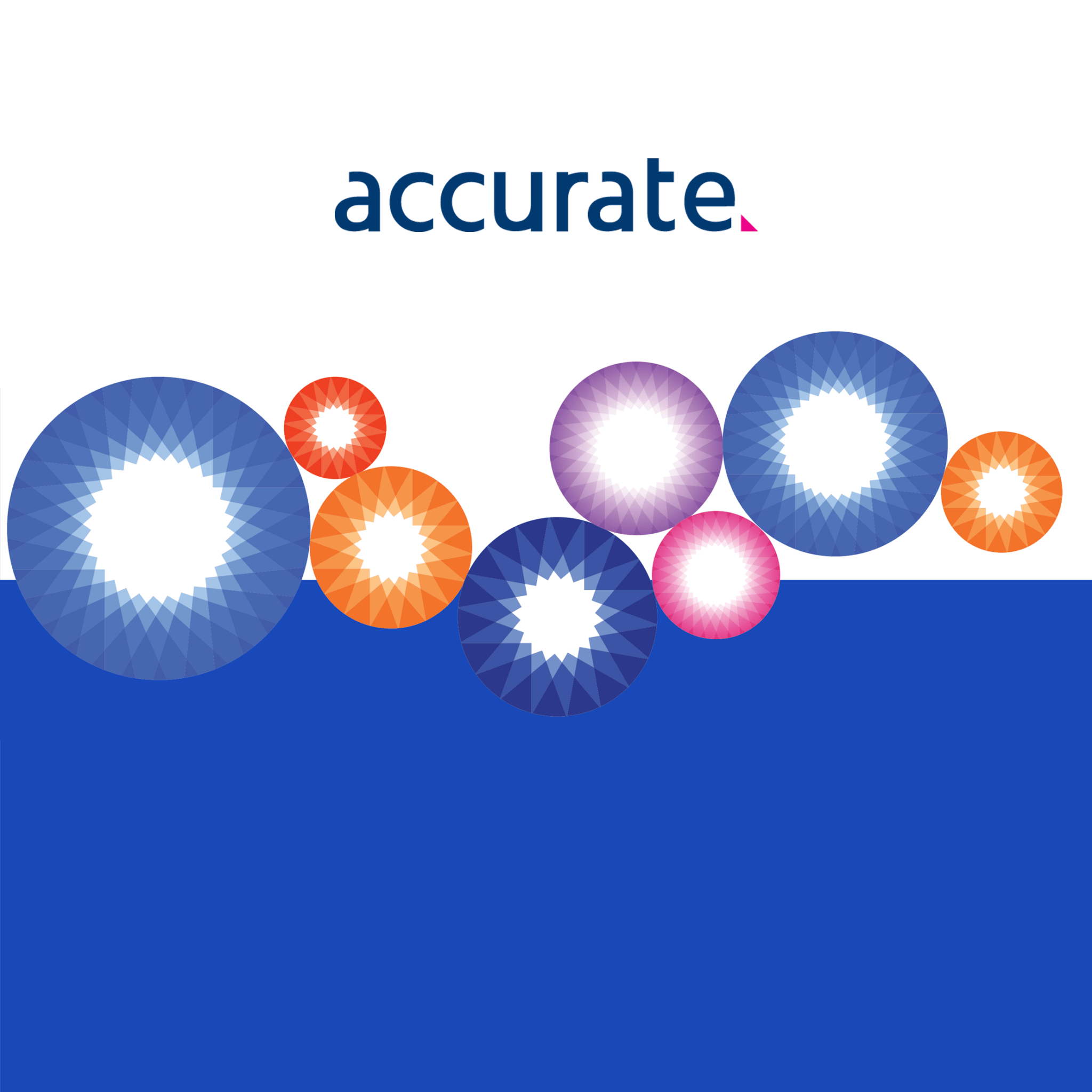 Accurate Background Employment Background Checks 
