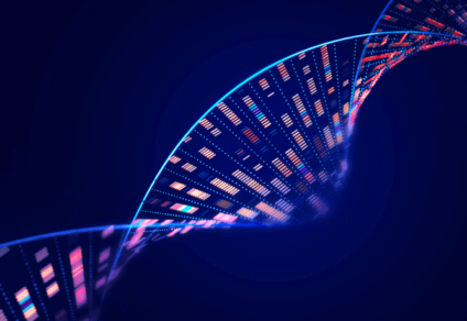 Background Check API Integration - Accurate