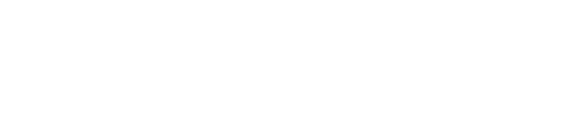 OTES - Candidate Support - Accurate